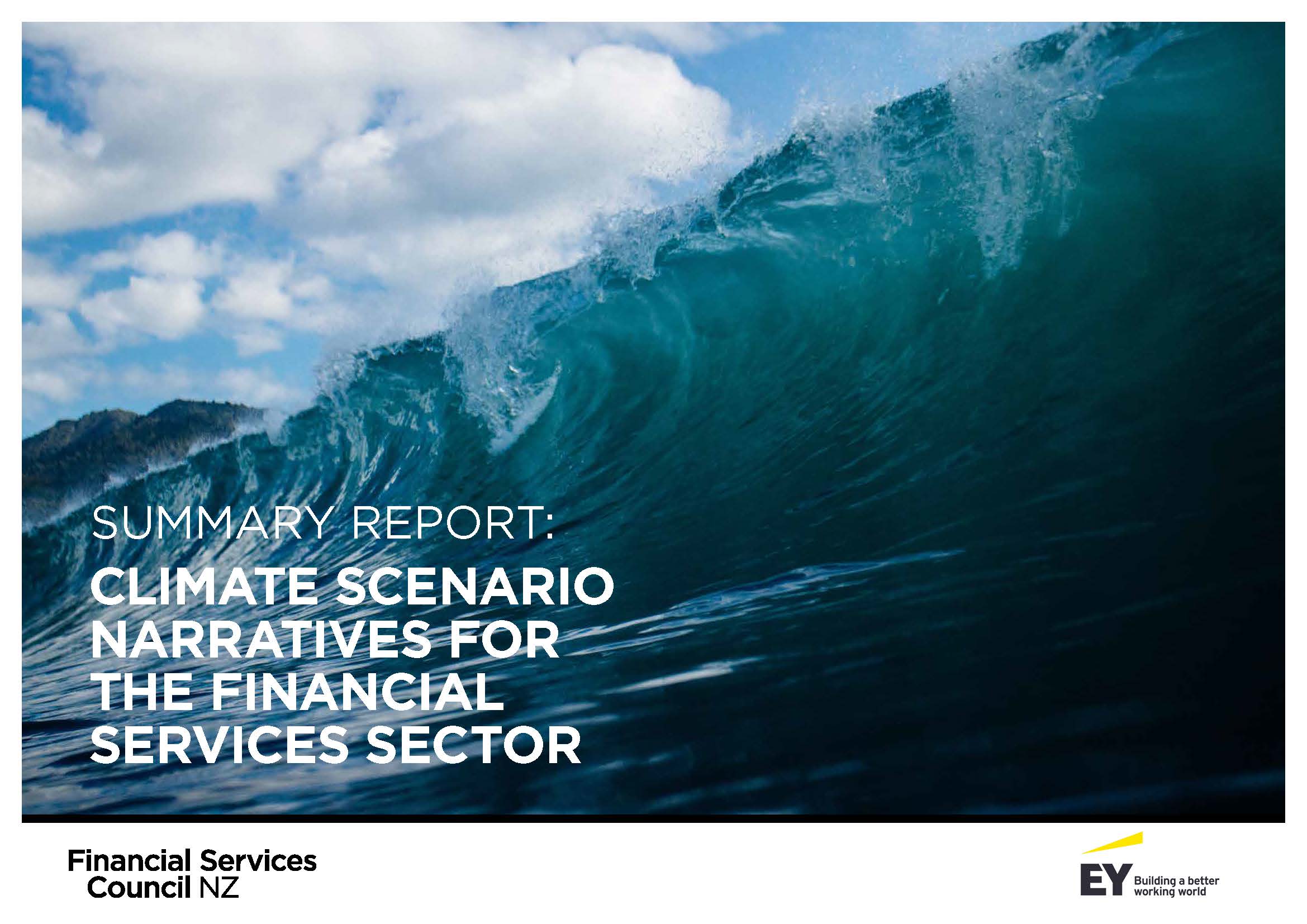 Climate scenario narratives for the financial services sector