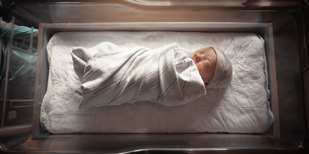 Life Insurance | FSC